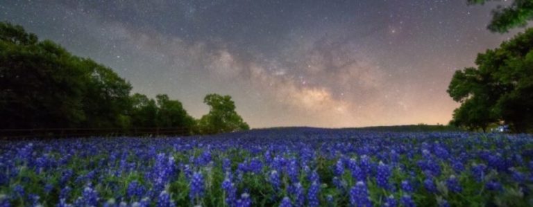 Austin Family Attractions - Fun for Kids in Austin TX