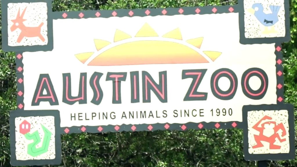 A Visit to the Austin Zoo - Austin Summer Fun