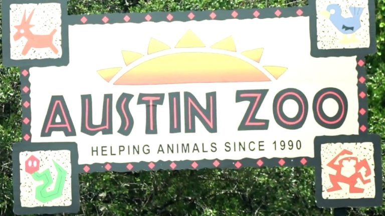 A Visit to the Austin Zoo - Austin Summer Fun